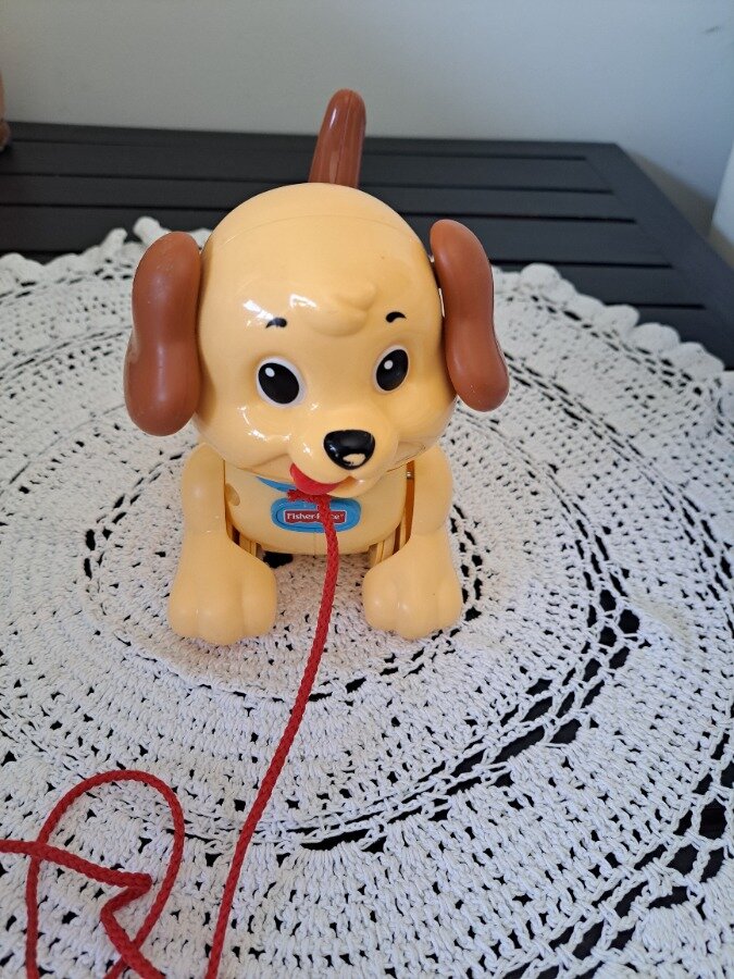 Perro Arrastre Fisher Price | CompraVentaNet.com